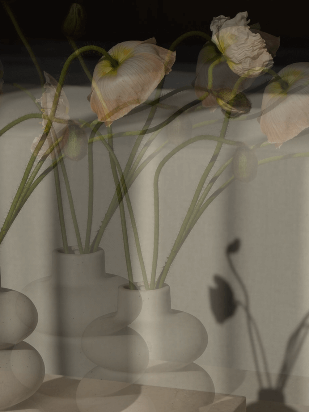 Featured In and Press and Media Enquiries – Aluve